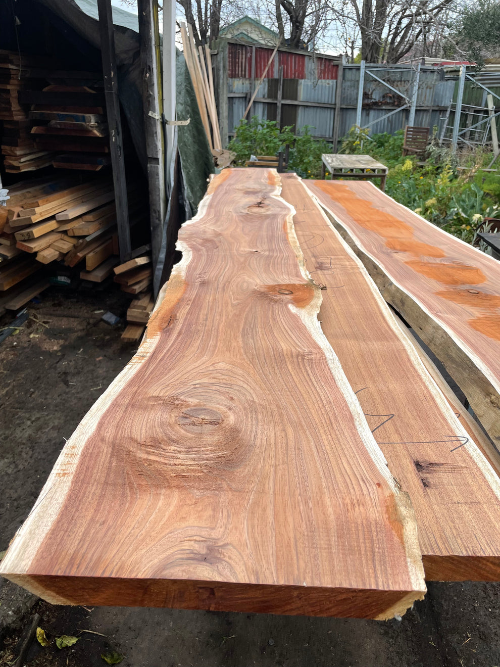 Kiln Dried Tasmanian Blackwood Slabs 38mm Thick – Wilky's Timber